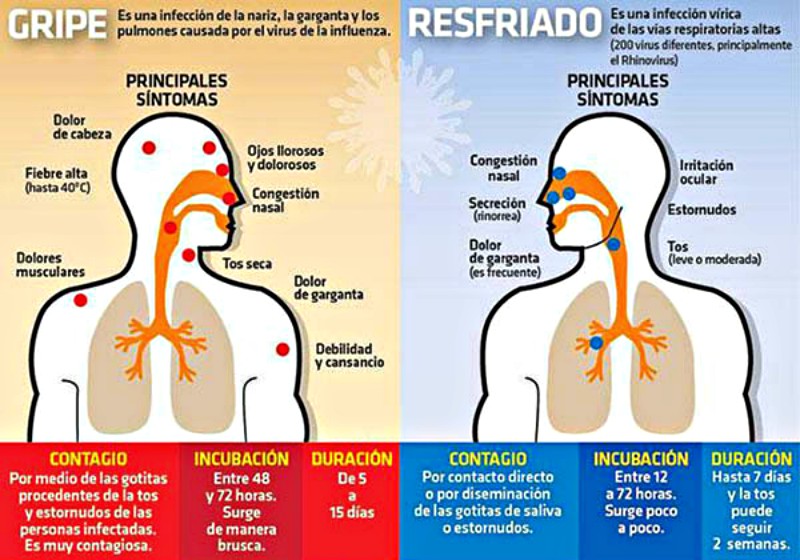 Tengo gripe: ¿Cuándo podré volver a correr y competir? | Vitalrunners